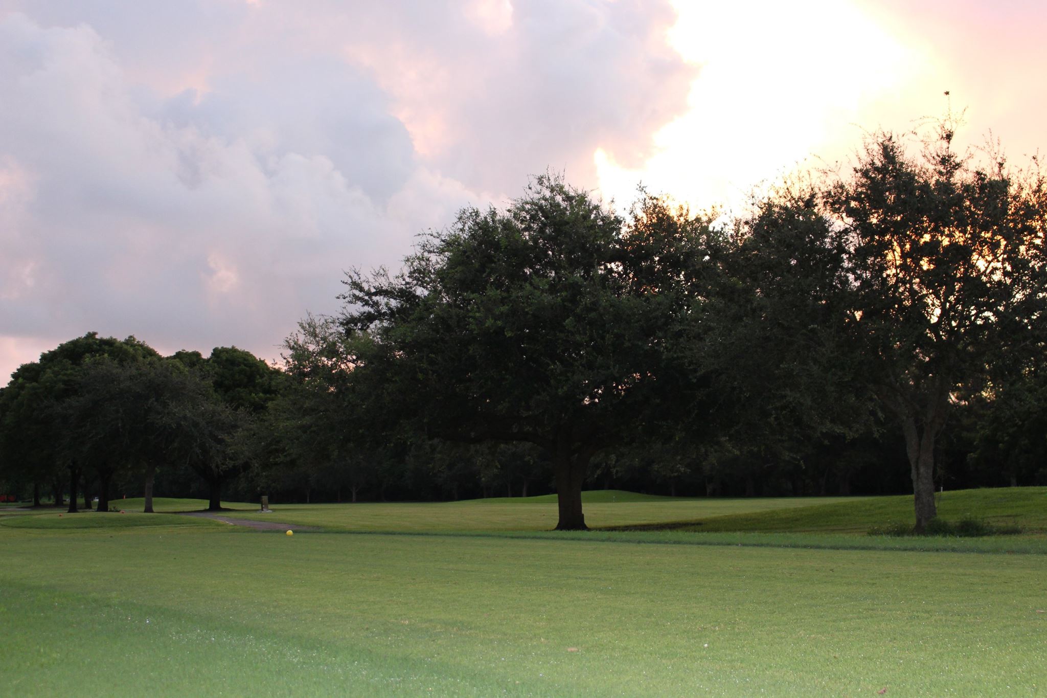 Gallery - Palmetto Golf Course
